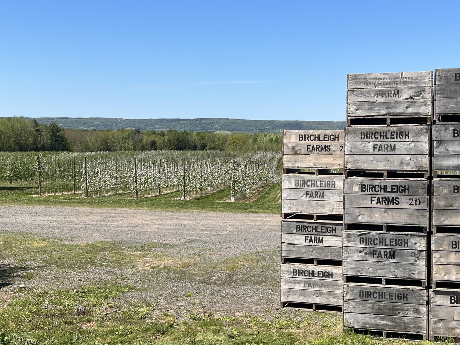 Apple Season in the Annapolis Valley